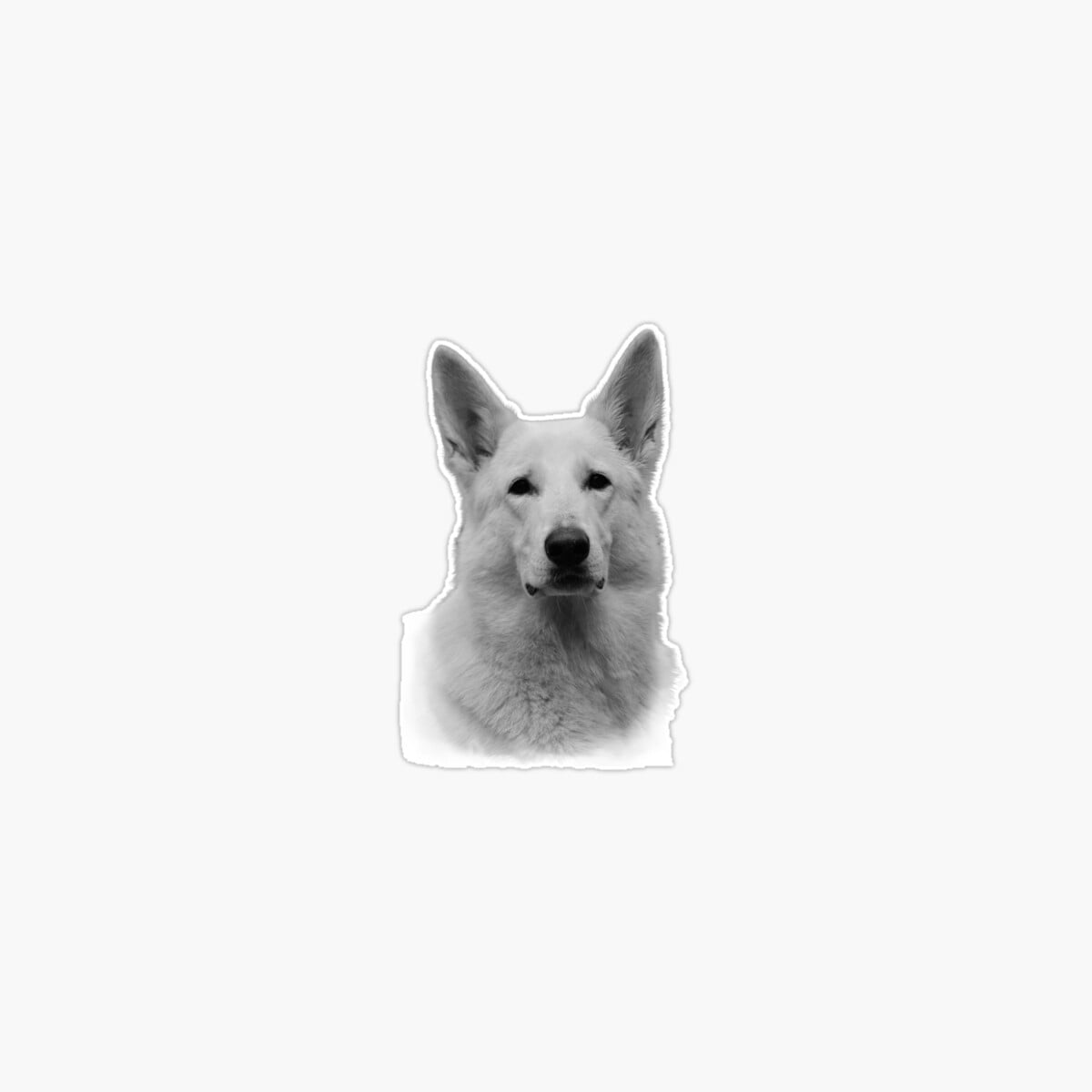 DOPASTICKER White German Shepherd Sticker, Phone Sticker Car Stickers ...