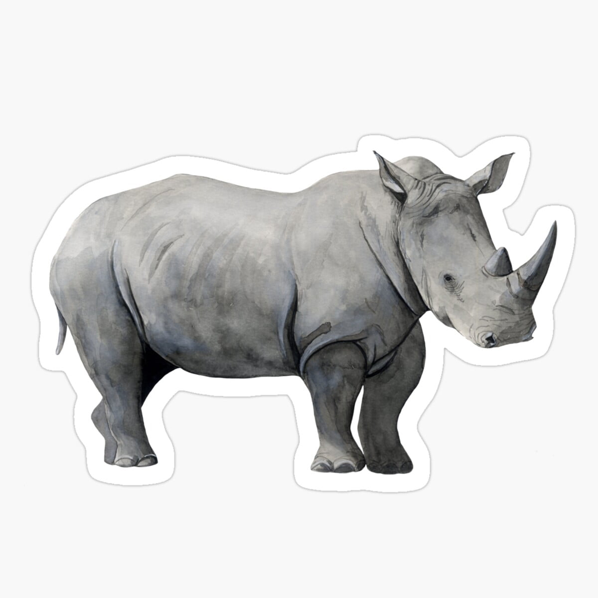 DOPASTICKER White Rhino Glossy Sticker Birthday Gifts - Decorative ...