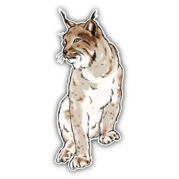 DOPASTICKER Wild Caracal Sticker Decal Phone Decal Water Bottle ...
