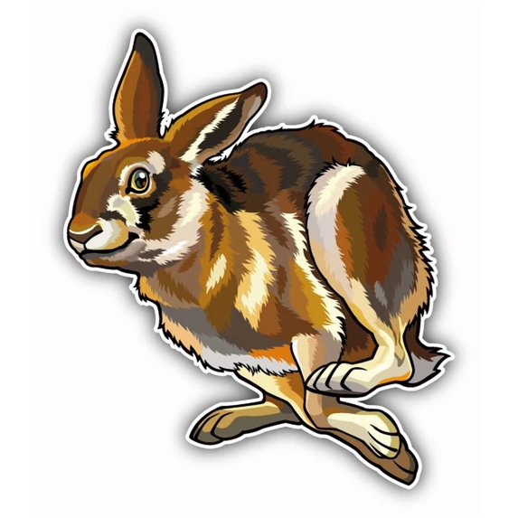 DOPASTICKER Wild Hare Sticker Decal Phone Decal Water Bottle Stickers ...