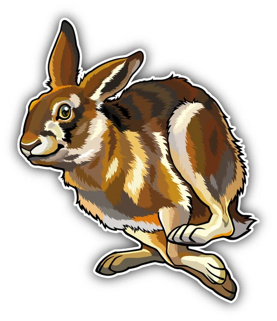 DOPASTICKER Wild Hare Sticker Decal Phone Decal Water Bottle Stickers ...