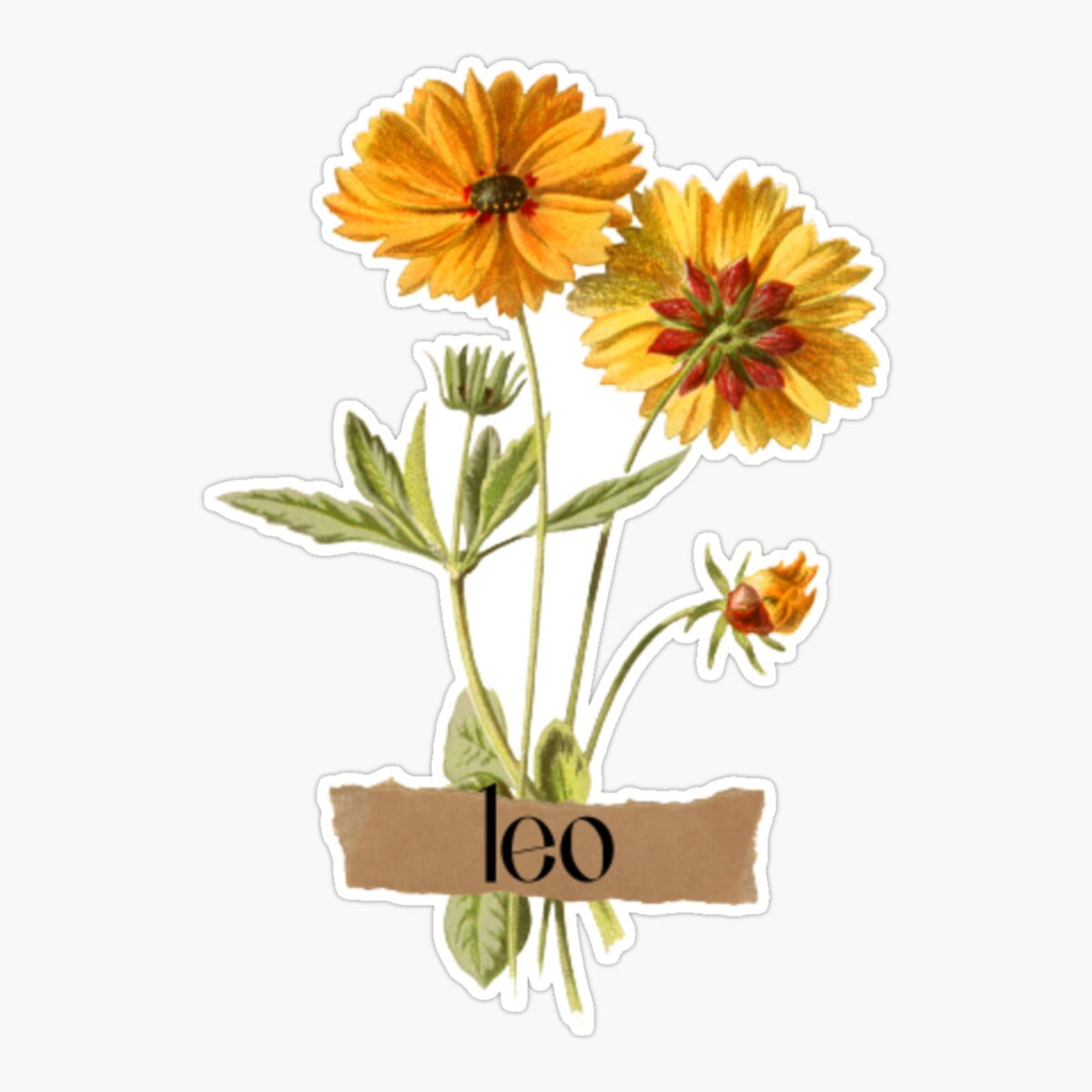 DOPASTICKER William And Mary Tribe Balloon Animal Sticker, Phone ...