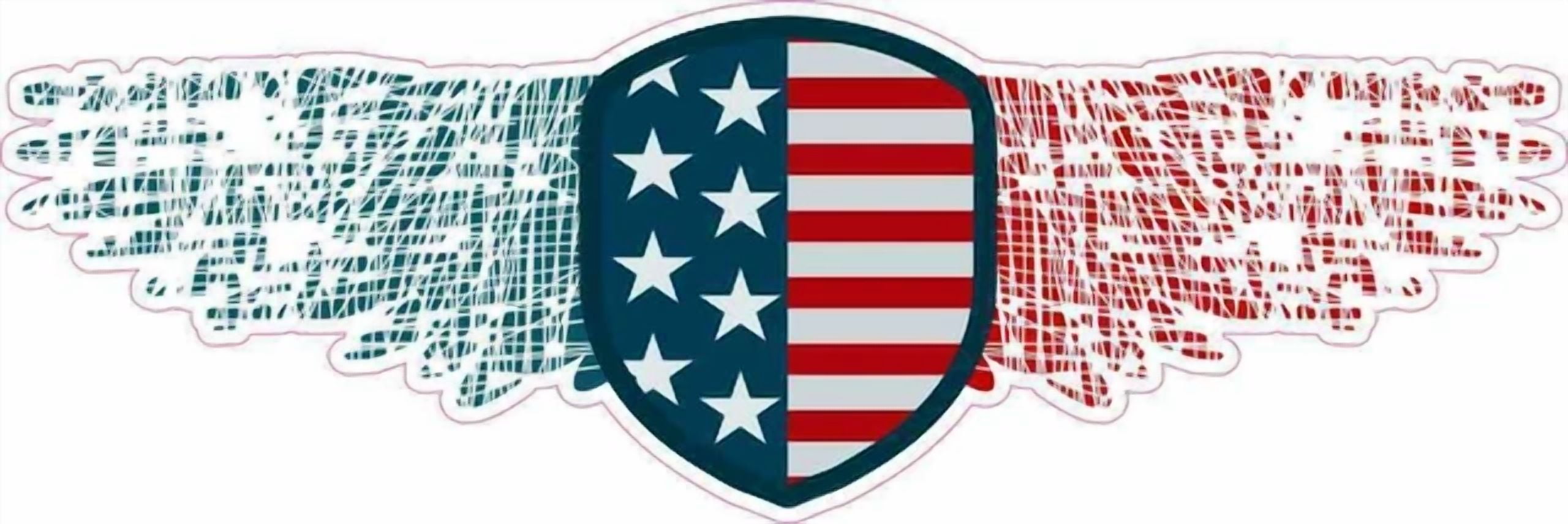 DOPASTICKER Winged American Flag Shield Sticker Patriotic Military ...