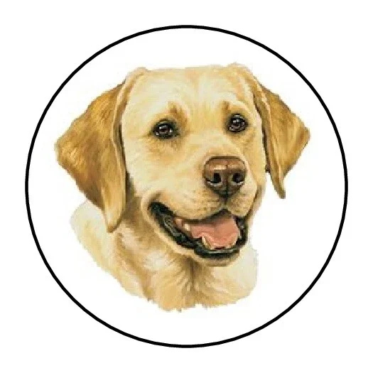 DOPASTICKER Yellow Lab Stickers Labrador Retriever Dog Phone Decal ...