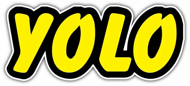 DOPASTICKER Yolo You Only Live Once Driver Car Sticker Decal Phone ...