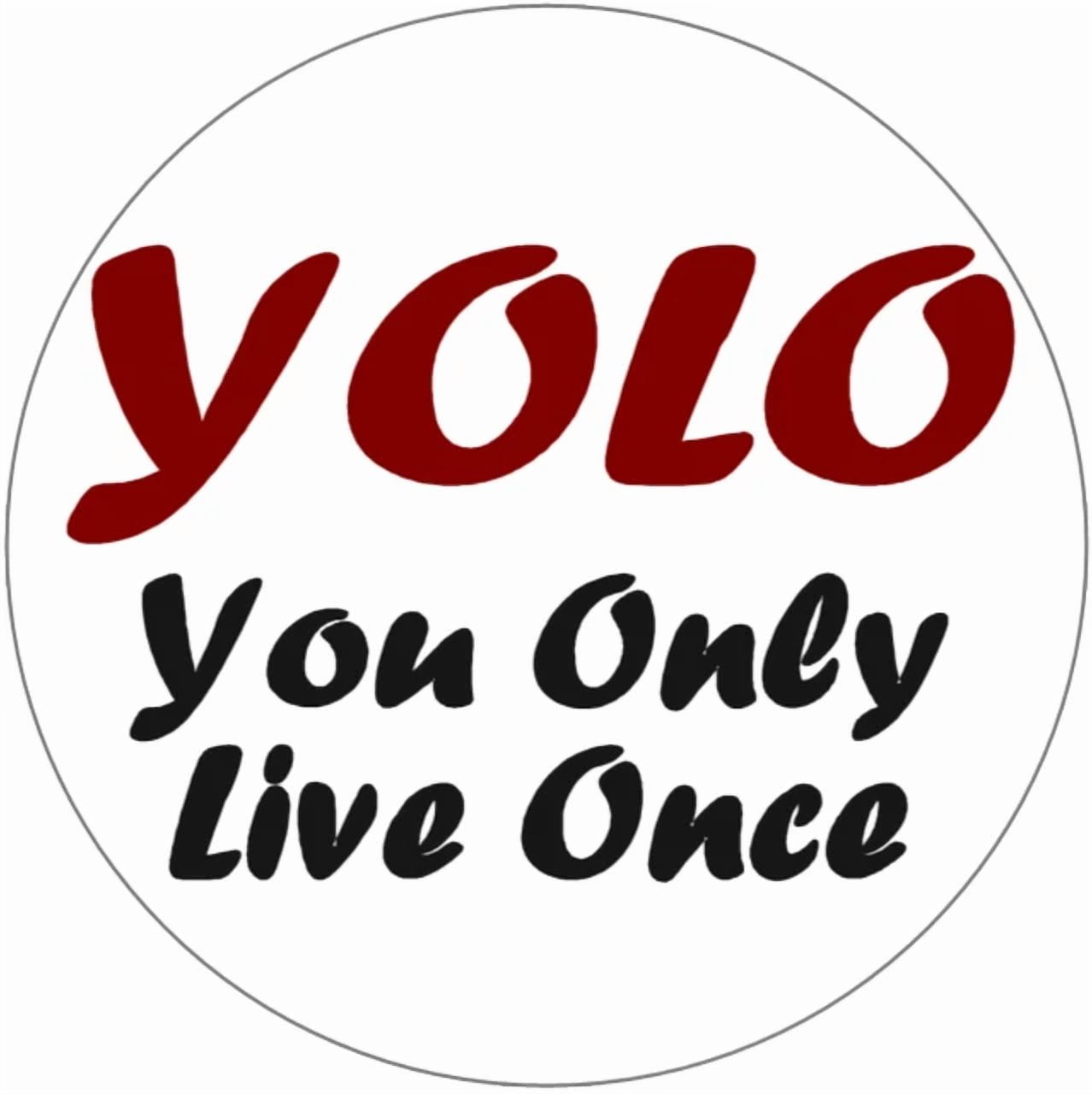 DOPASTICKER Yolo You Only Live Once Phone Decal Water Bottle Stickers ...