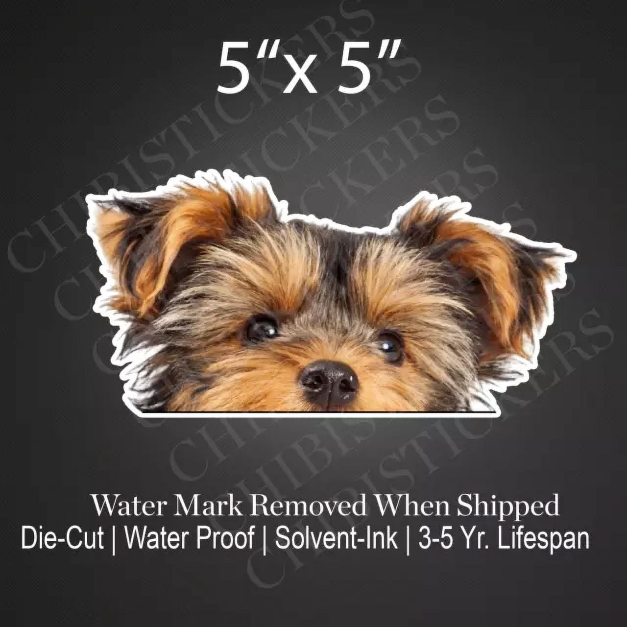 DOPASTICKER Yorkshire Terrier Realistic Black Tan Cute Dog Peeker ...