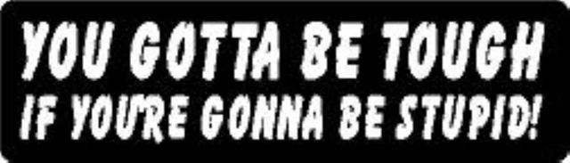 DOPASTICKER You Gotta Be Tough If You'Re Gonna Be Stupid Sticker Hard ...