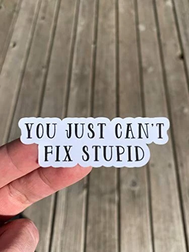 DOPASTICKER You Just Can'T Fix Stupid Sticker, Phone Decal Water Bottle ...