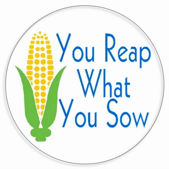 DOPASTICKER You Reap What You Sow Sticker, Inspirational Quote Phone ...