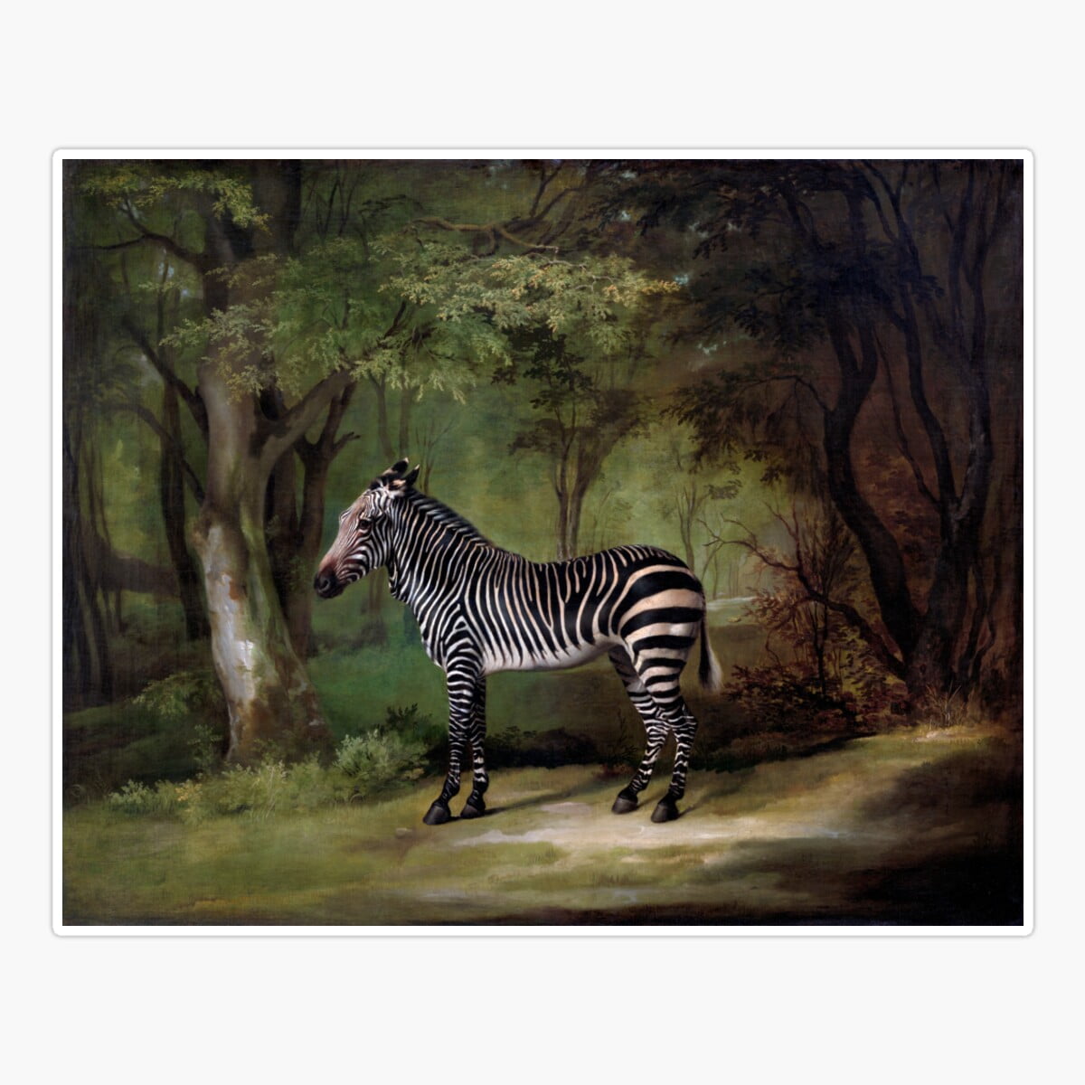 DOPASTICKER Zebra In The Park Sticker, Phone Sticker Water Bottle ...