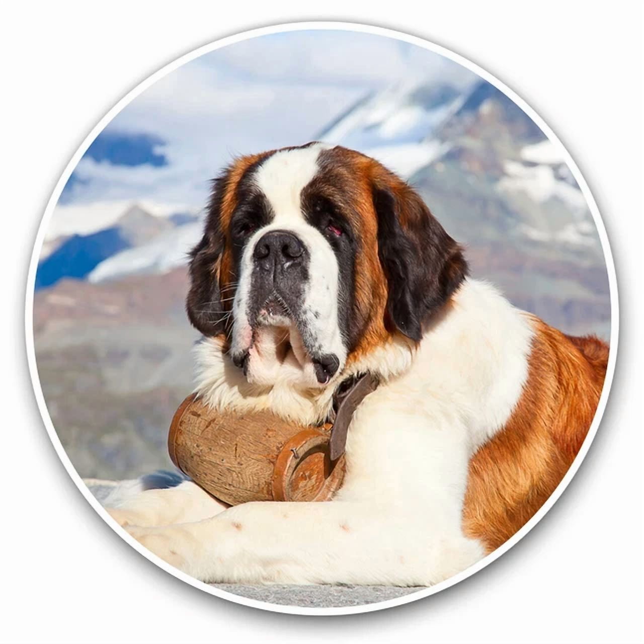 DOPASTICKERs,St Bernard Mountain Rescue Dog Cool Gift, Phone Stickers ...