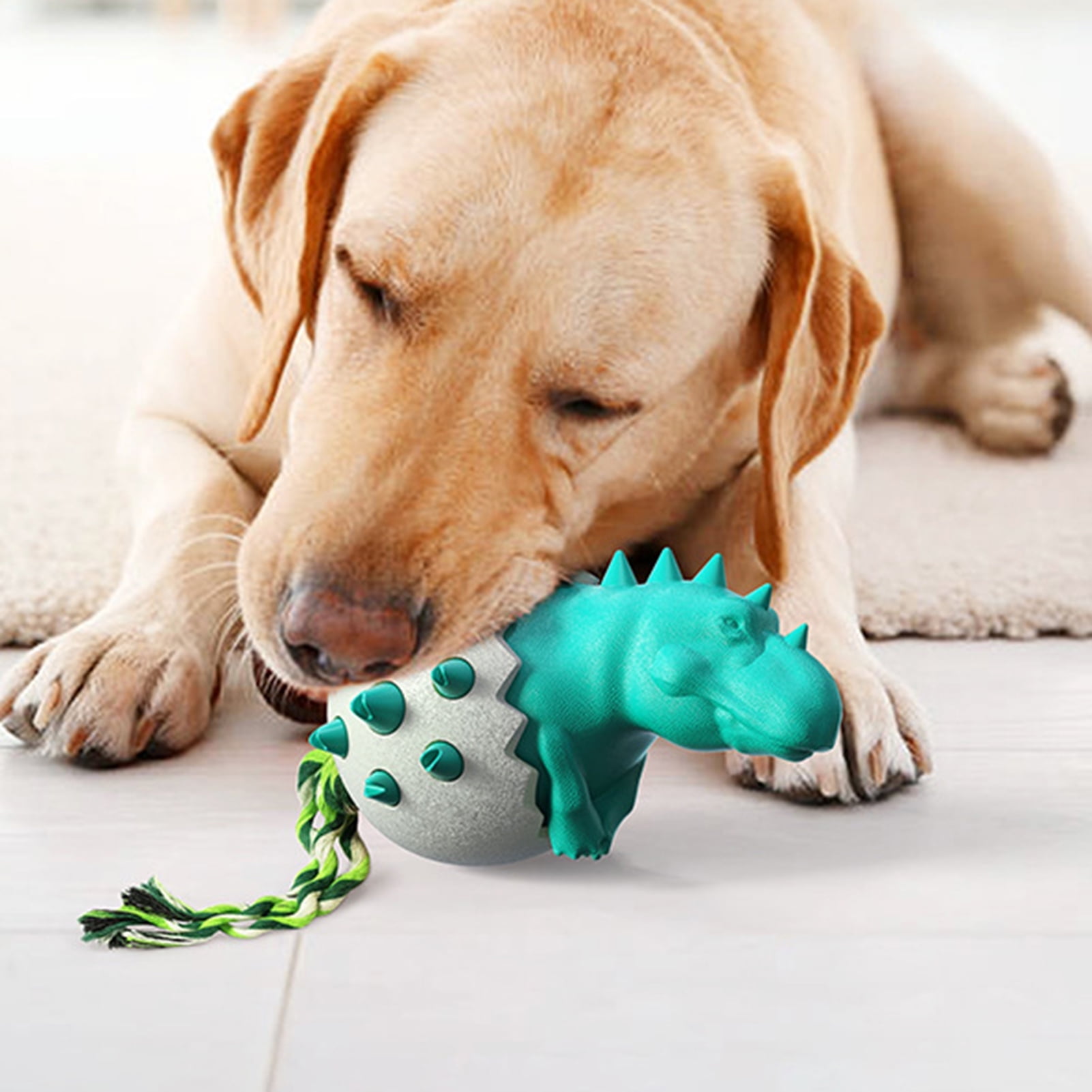 DOPI Dinosaur Egg Shape Dog Chew Toy Anti-deformed Plastic Innovative ...