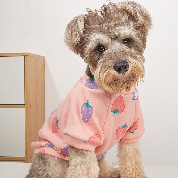 DOPI Strawberry Print Foreleg Dog Pullover Good Elasticity O-Neck Warm ...