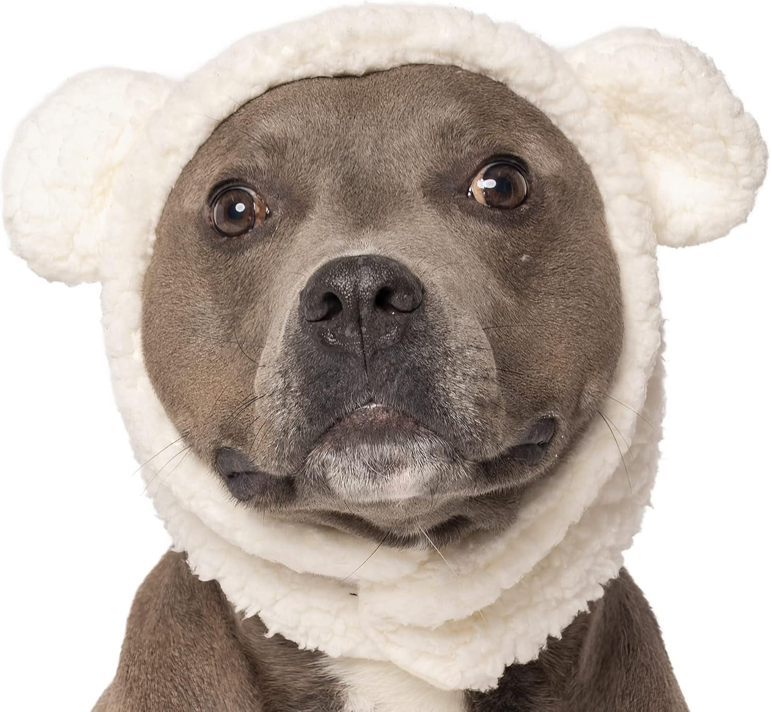 DOVACKA Medium Dog Hat, Washable & Cozy - Sherpa Flex-Fit Polar Bear ...
