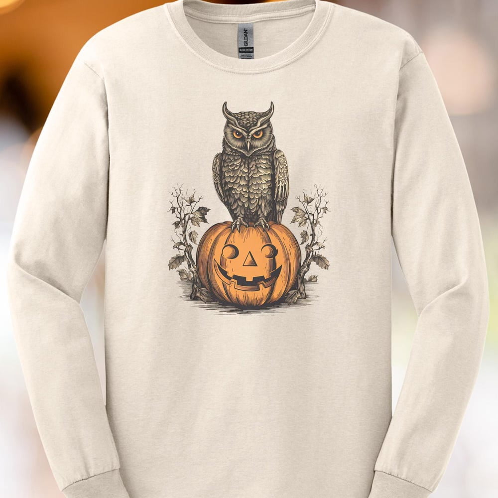 DOVU Hal.Low.Een Owl On Pumpkin Graphic Sweatshirt Fall Cozy Sweatshirt Autumn Animal Skull Tee ...