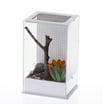 Exo Terra Small Cricket Container Pen - Ideal for Housing, Keeping, and ...