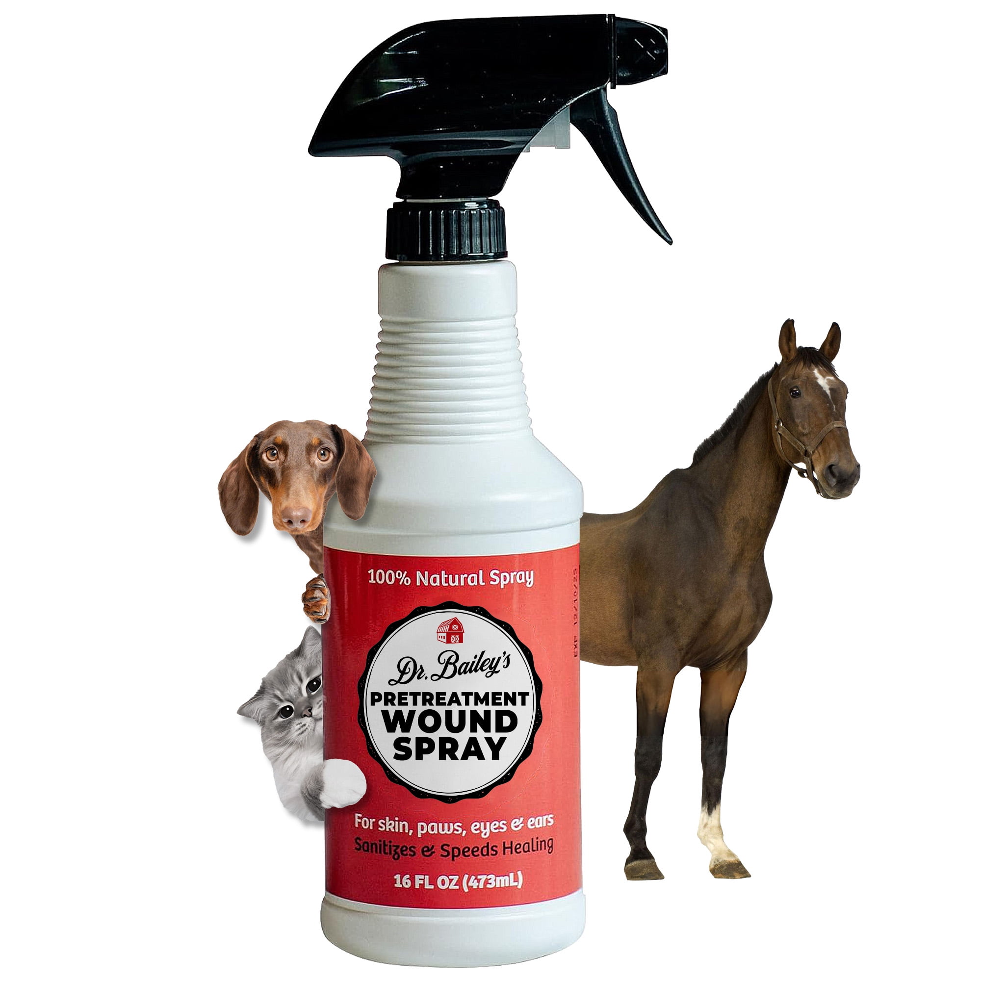DR. BAILEY'S Miracle Animal Spray - 16 OZ Hot Spot Treatment for Dogs ...