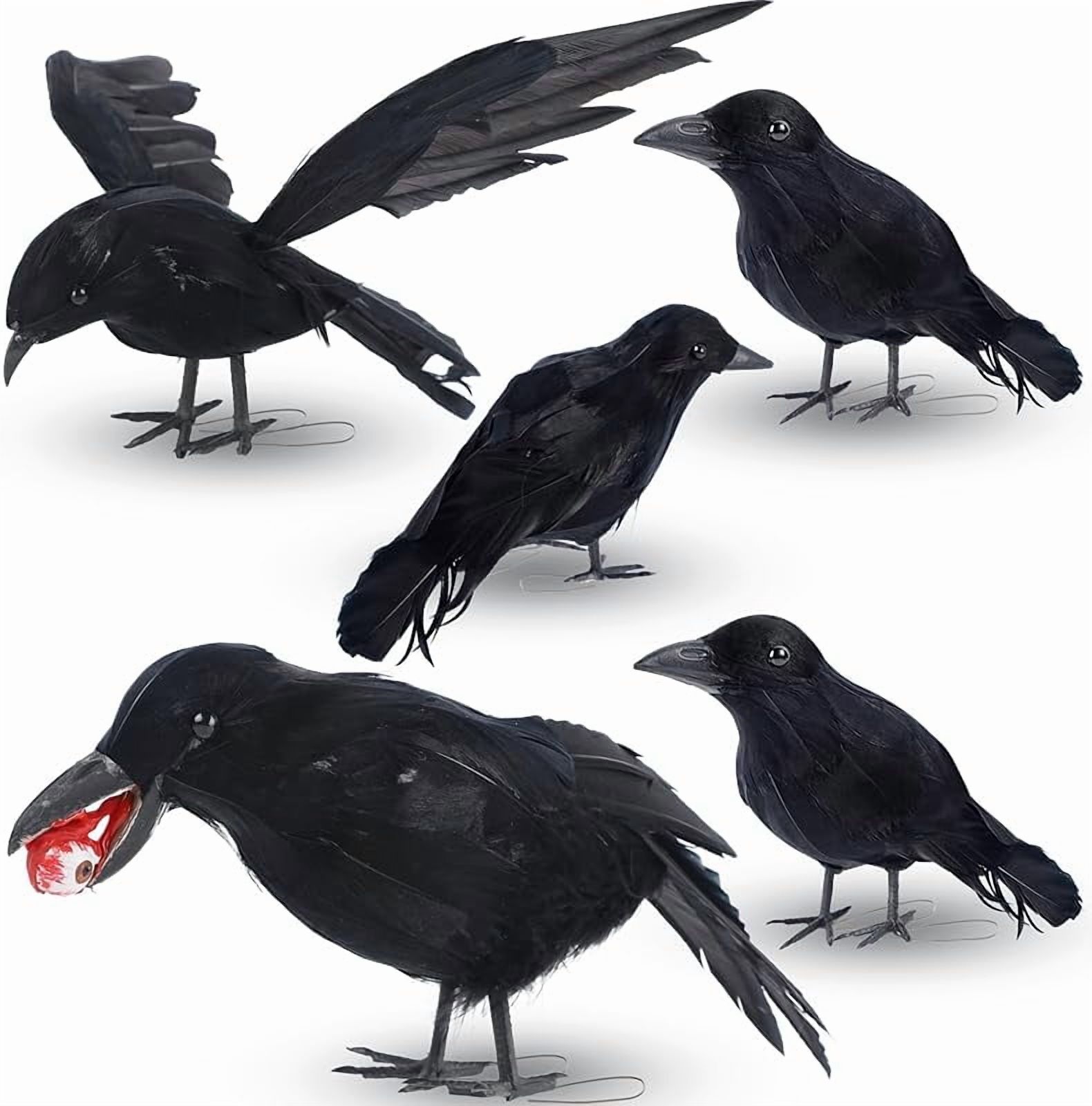 DR.DUDU 5 Pack Halloween Crows Decor, Realistic Black Feather Ravens ...
