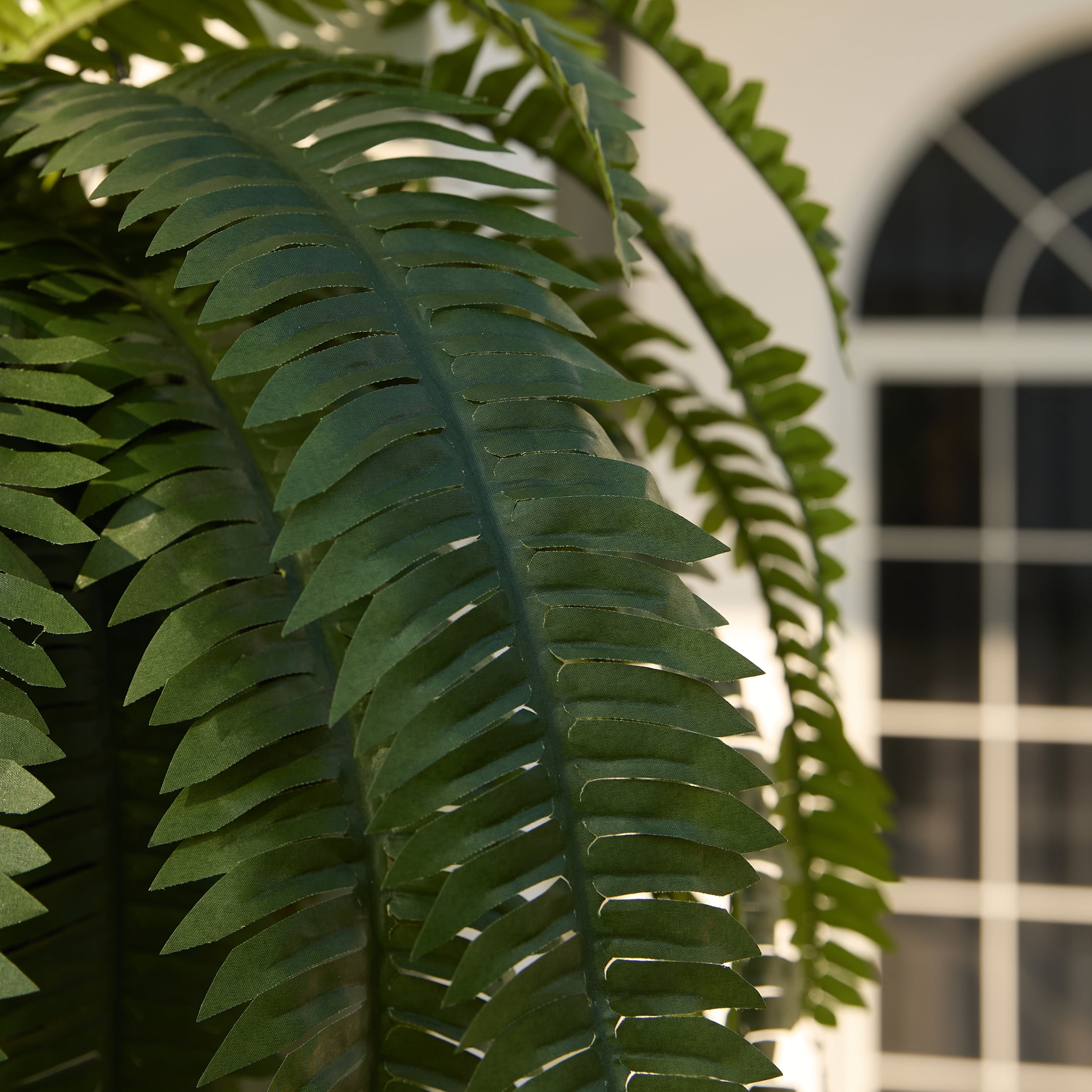 Walmart Black Friday Deals 2025 DR.Planzen 2 Pack Artificial Boston ...