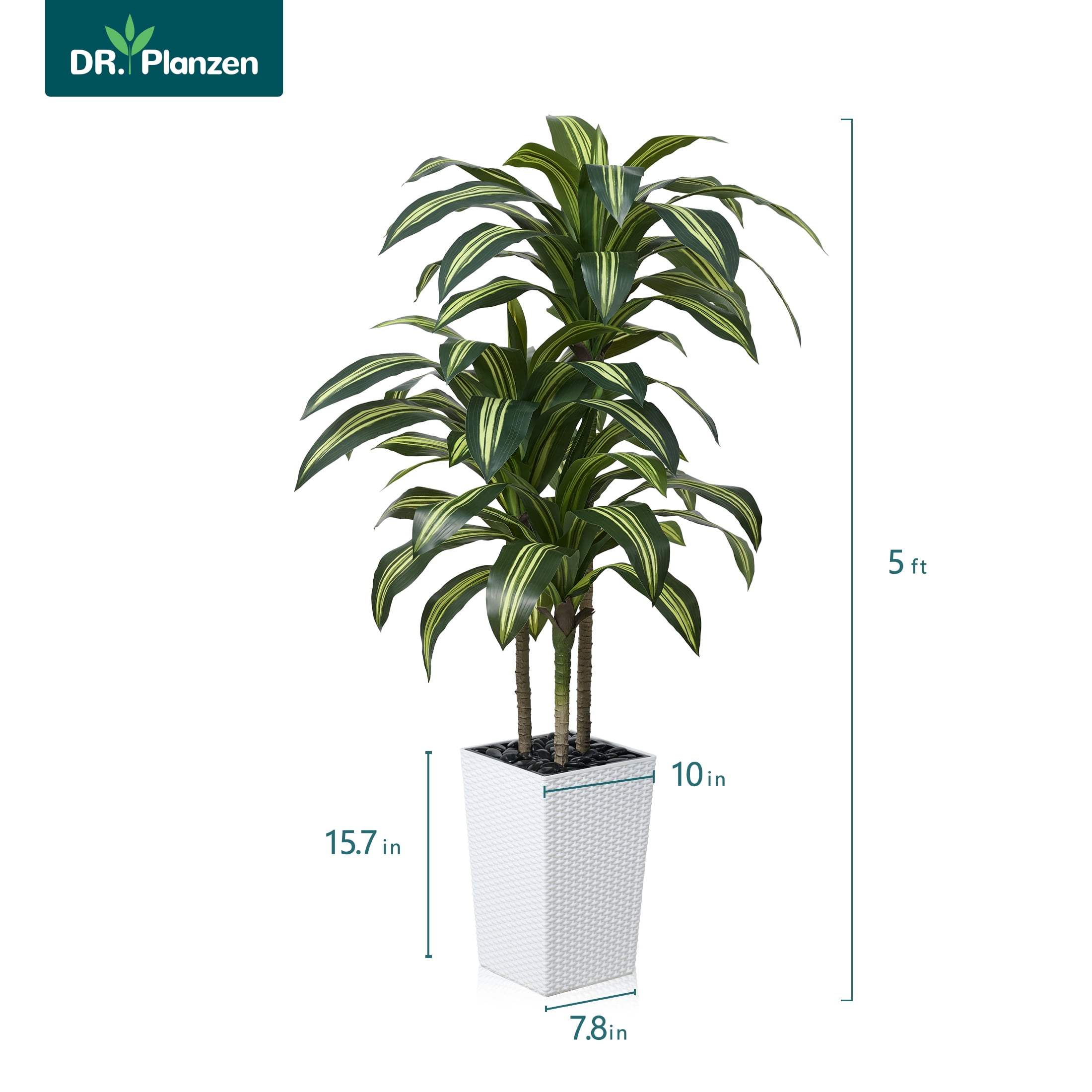 DR.Planzen 5FT Artificial Dracaena Tree with UV-Resistant Silk Leaves in White Tall Planter ...