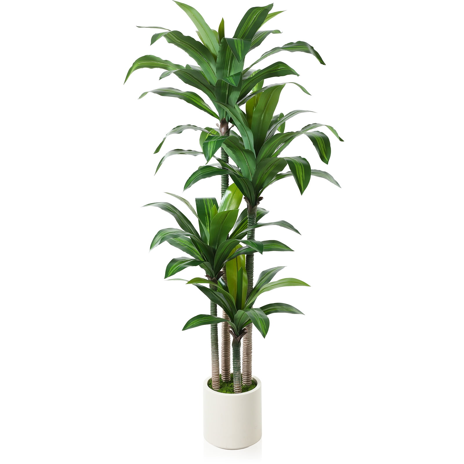 Dr. Planzen 6FT Tall Artificial Dracaena Tree, Indoor Decor with Large ...