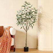 6 ft Tall Large Indoor Faux Moringa Oleifera Tree in Pot, Artificial ...