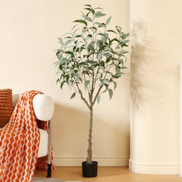6 ft Tall Large Indoor Faux Moringa Oleifera Tree in Pot, Artificial ...