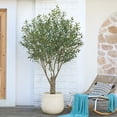 DR.Planzen 7FT Giant Artificial Olive Tree, Tall Silk Faux Olive Tree ...