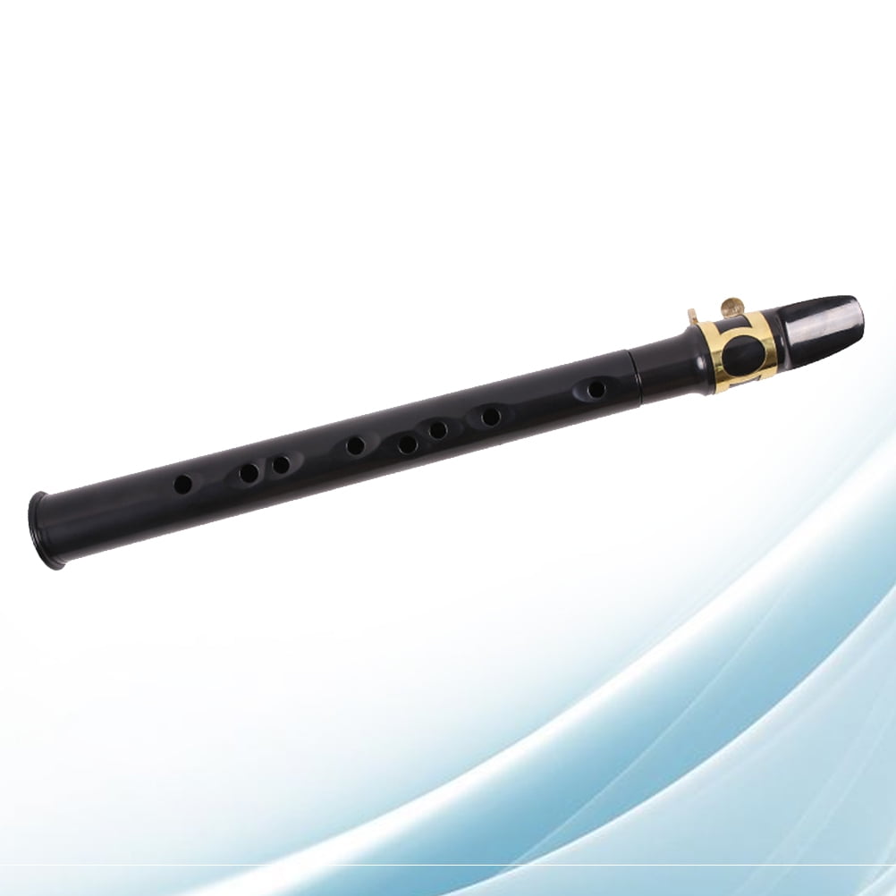 DRAFIDEEP 1Pcs Black Plastic Mini Saxophone for Kids and Beginners in ...
