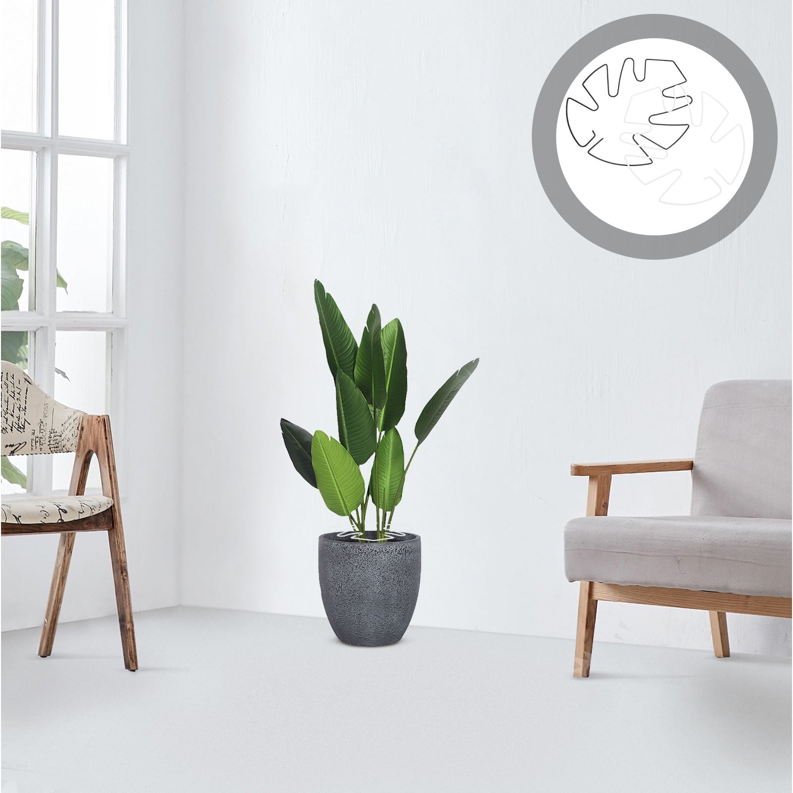 DRAFIDEEP Monstera Growing Stand 2Pcs Iron Plant Prop With Lightweight ...