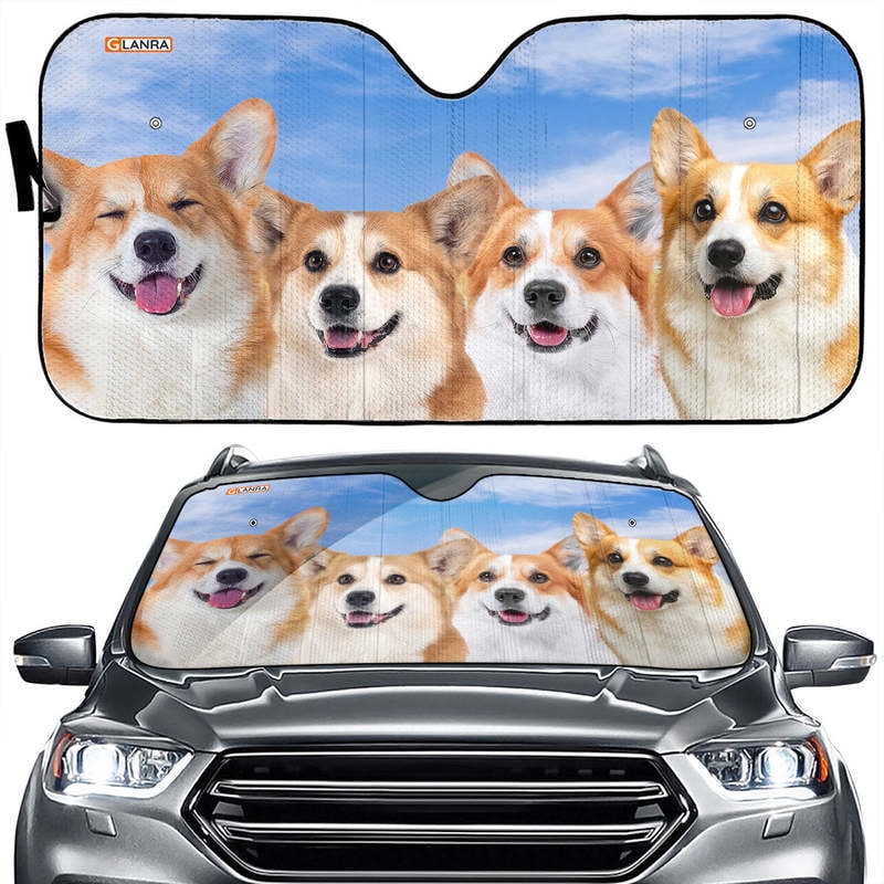 DRIVING JESUS AND CAT Auto Windshield Sun Shade Funny Animal ...