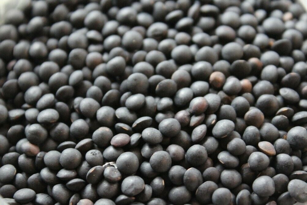 DRY Whole Black Lentil Beans -2 LB - Walmart.com
