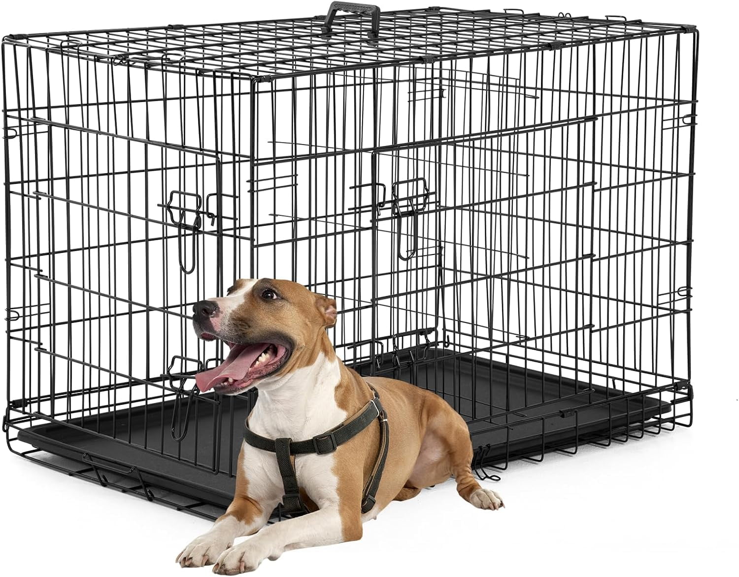 DSARD 24-Inch SecureFold Metal Dog Crate – Double Door, Divider & Leak ...