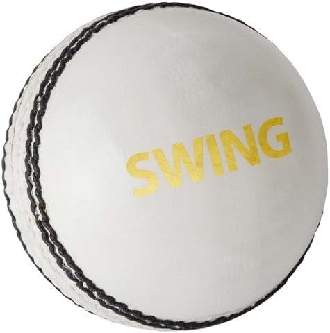 DSC Men's 8904223209009 1500498 Swing Leather Cricket Ball (White ...
