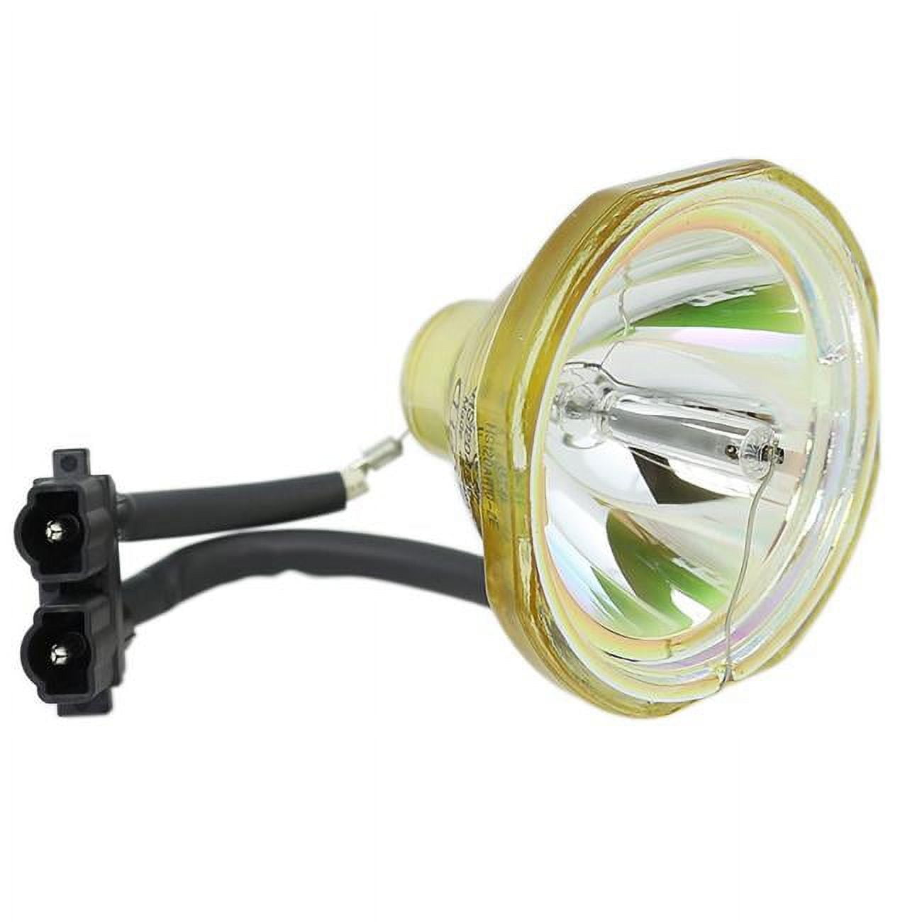 DT00581 OEM Projector Bare Lamp - Walmart.com