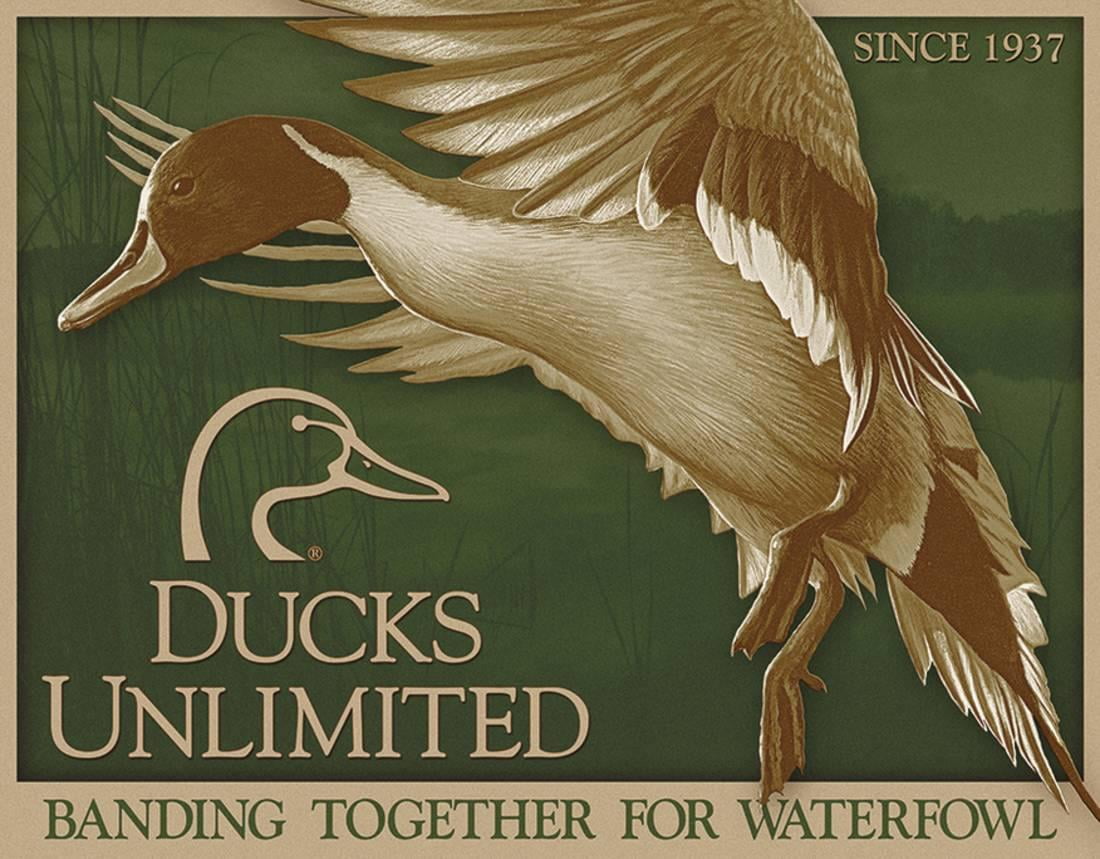 Corvette Stingray Performance Personified Metal Sign - Walmart.com