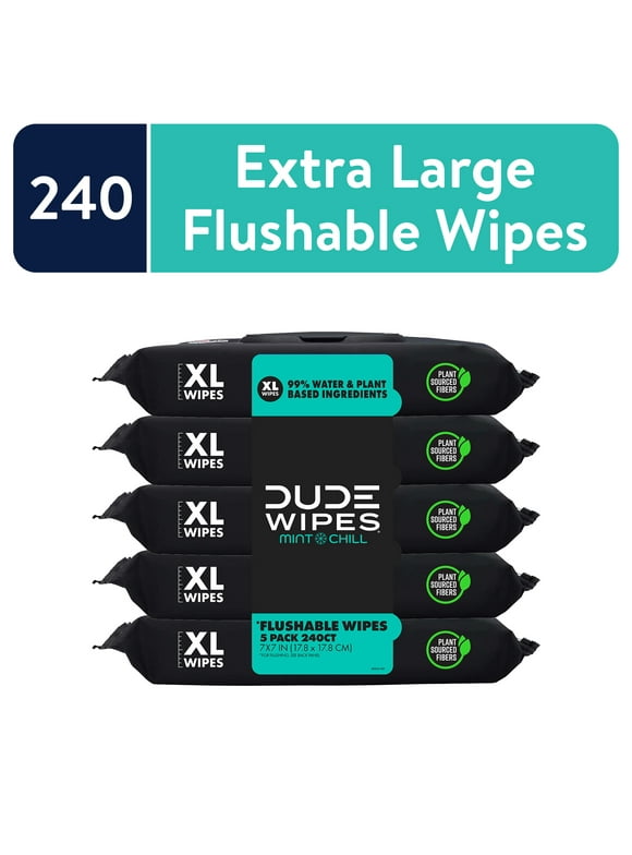 Dude Wipes in Flushable Wipes - Walmart.com