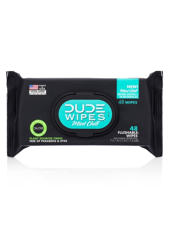 Dude Wipes in Flushable Wipes - Walmart.com
