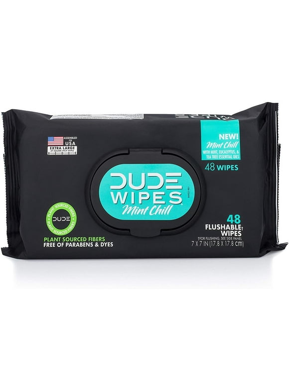 Dude Wipes in Flushable Wipes - Walmart.com