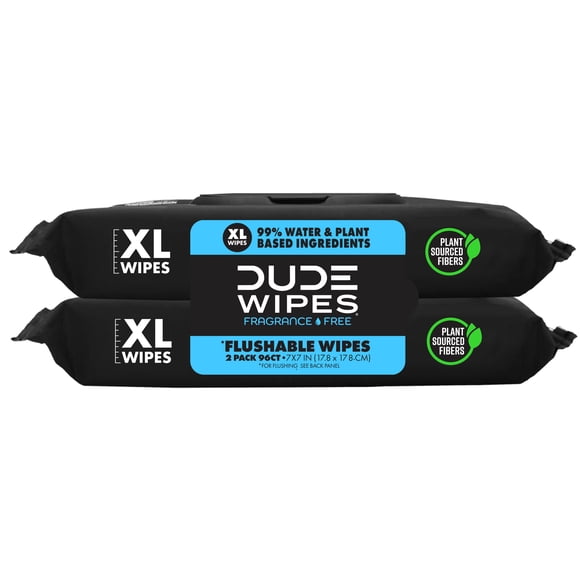 Dude Wipes in Flushable Wipes - Walmart.com
