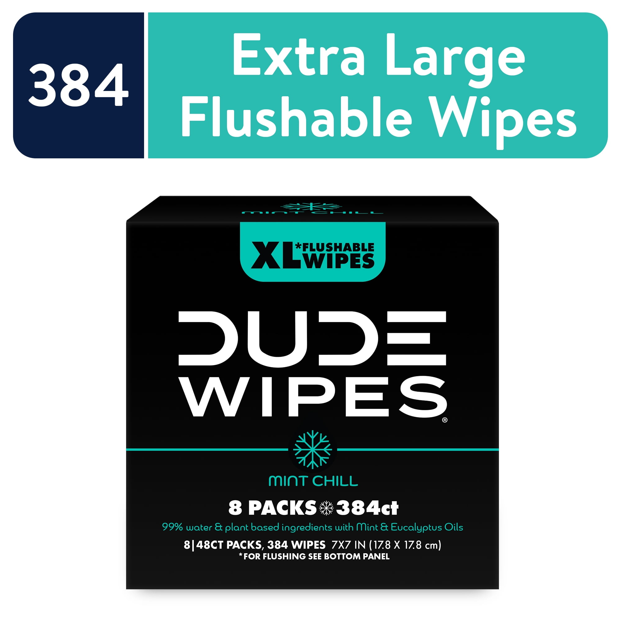 DUDE Wipes Mint Chill, Extra Large Flushable Wipes, 48 Count, 8 Pack ...