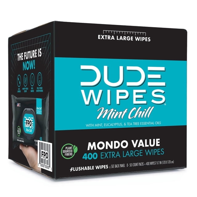 DUDE Wipes Large Wet Flush Bathroom Wipes, Mint Chill Dispenser Pack (8 ...