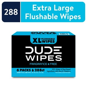 Flushable Wipes in Paper & Plastic - Walmart.com