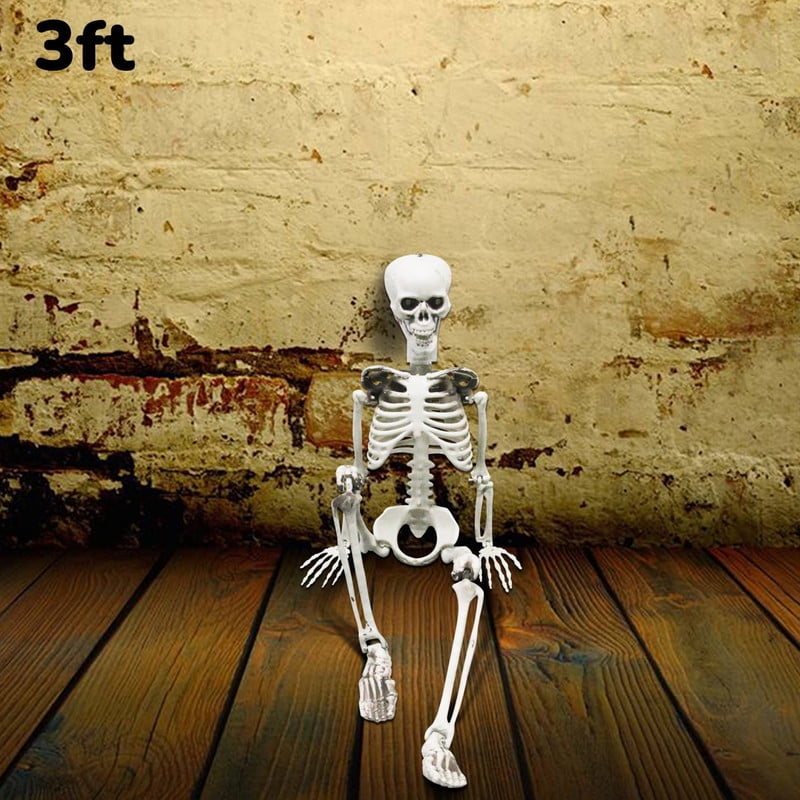 DUNCHATY 3FT Halloween Skeleton, Hanging Skeleton - Lightweight Indoor ...