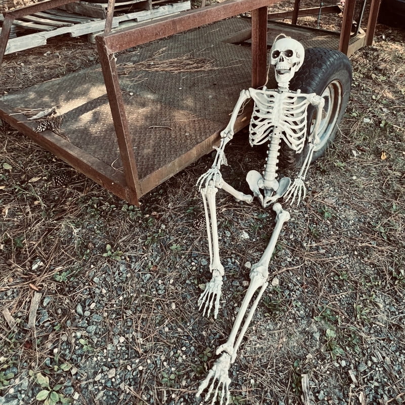 DUNCHATY 6FT Halloween Giant Animated Skeleton, Mega Yard Decoration ...