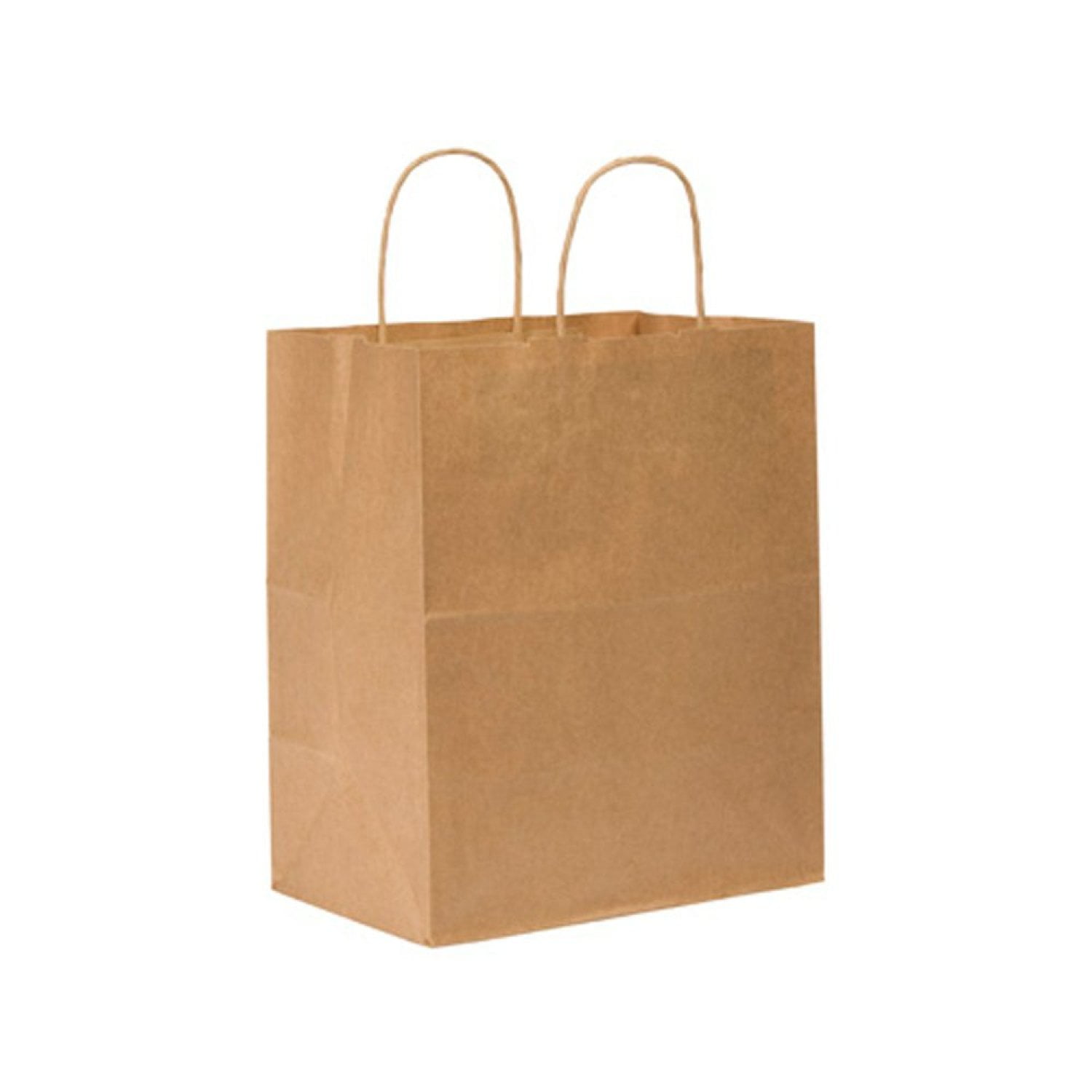 DURO 10x6.75x12 Brown Paper Gift Bags with Handles, Recycled Kraft ...