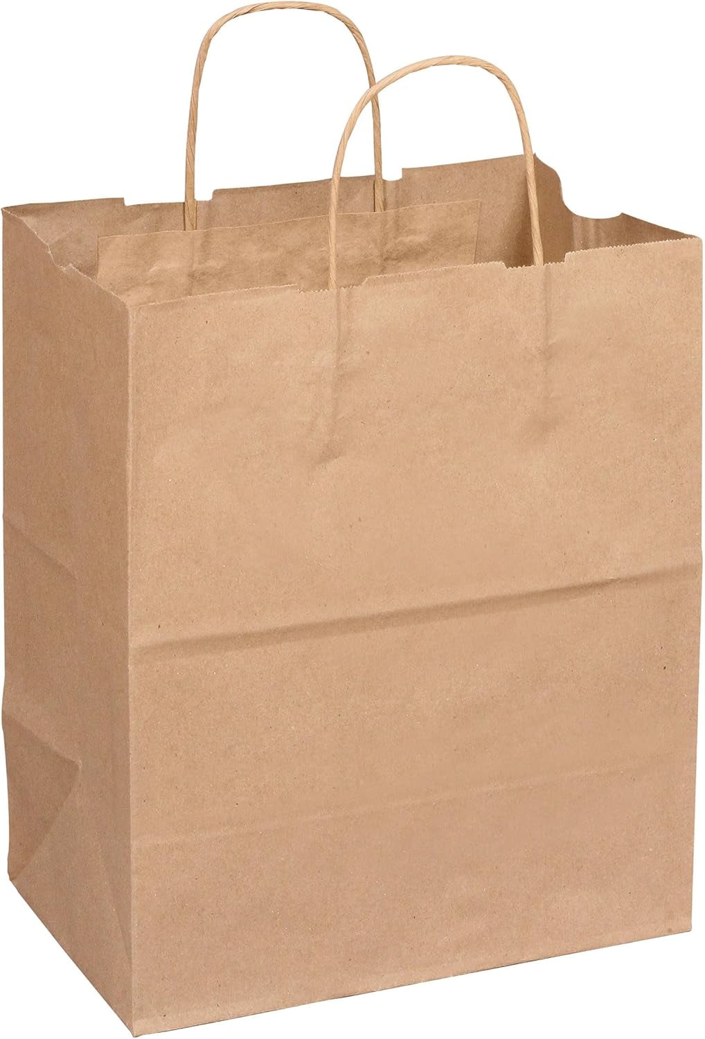 DURO 10x6.75x12 Brown Paper Gift Bags with Handles, Recycled Kraft ...