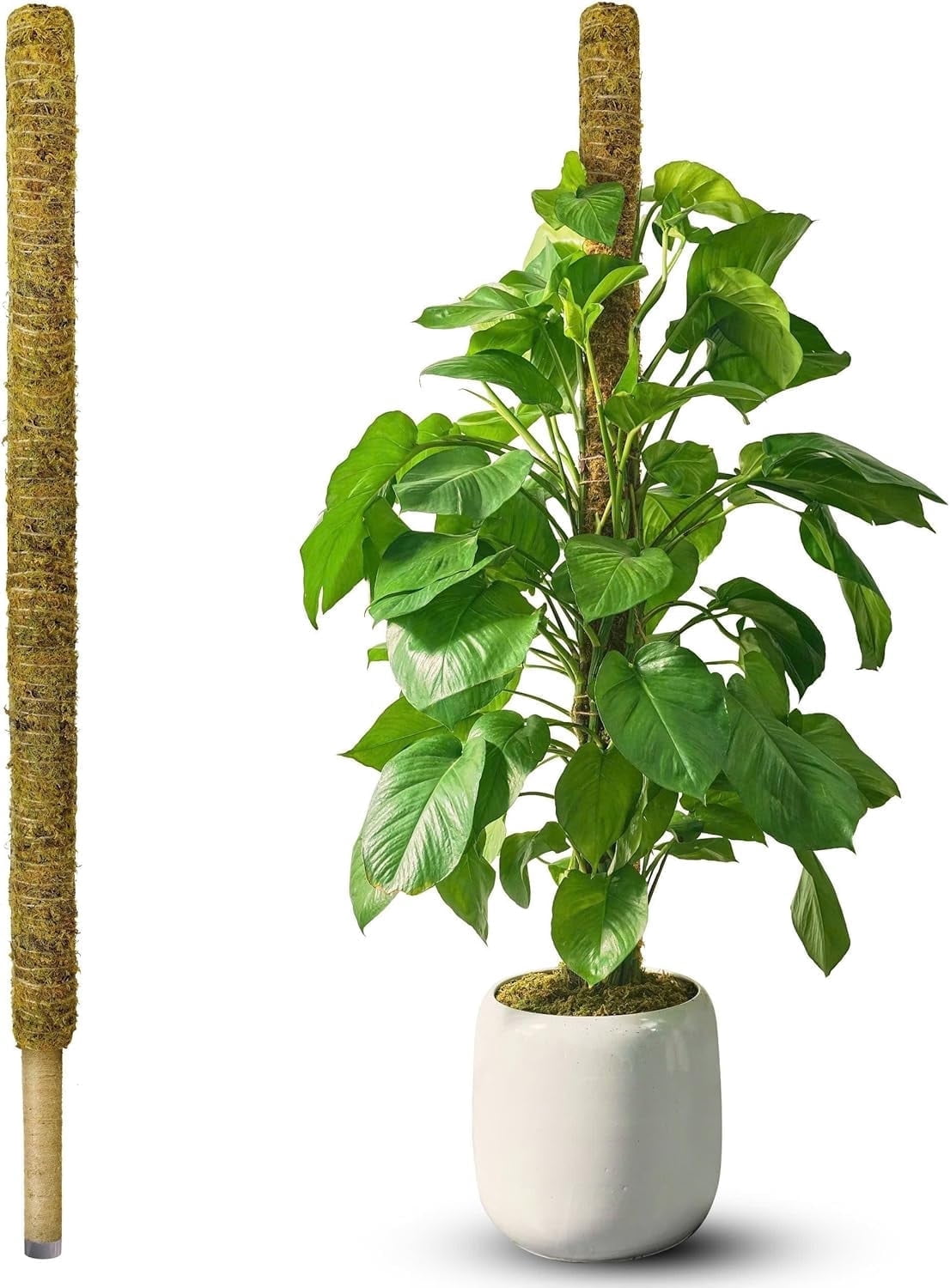 DUSPRO 59 Inches Non-Bendable Pole for Big Plants, Large Moss Pole for ...