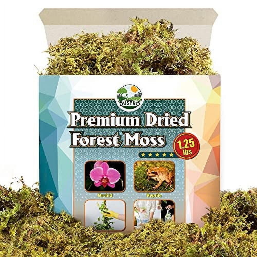 DUSPRO Big Bag Dried Forest Moss for Plant Propagation Sphagnum Moss ...